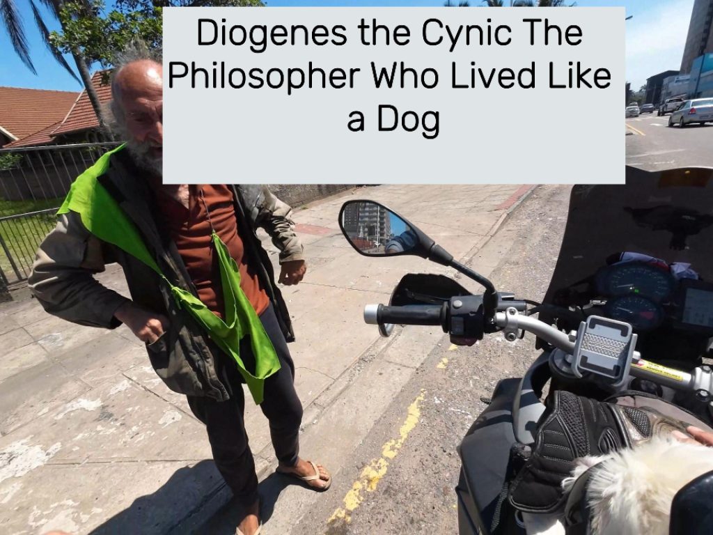 Diogenes the Cynic The Philosopher Who Lived Like a Dog - Jonty (K9) Knine